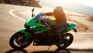 Kawasaki Ninja 300 Top Speed: Where Affordability Meets Performance ...