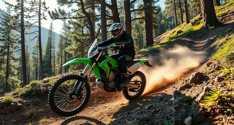 Kawasaki KLX300 Top Speed: Lightweight Fun for Trail or Street - Off ...